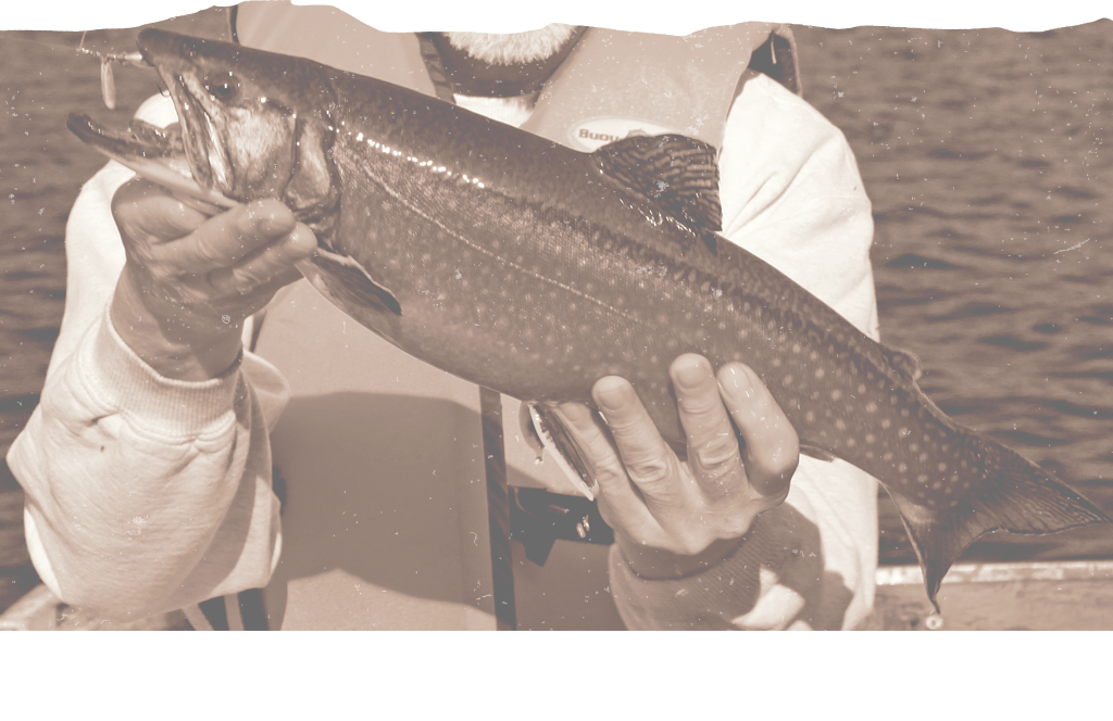 lost lake lodge fishing - Lost Lake Lodge